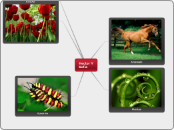 Hector Y Sofia - Mind Map