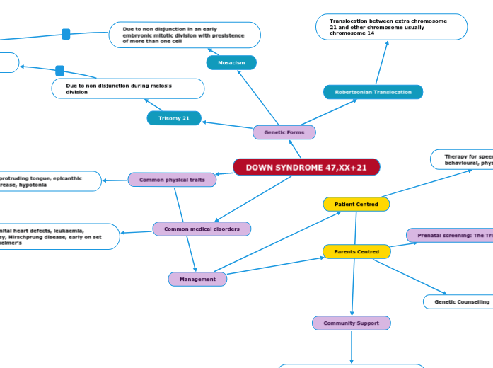 DOWN SYNDROME 47,XX+21 - Mind Map
