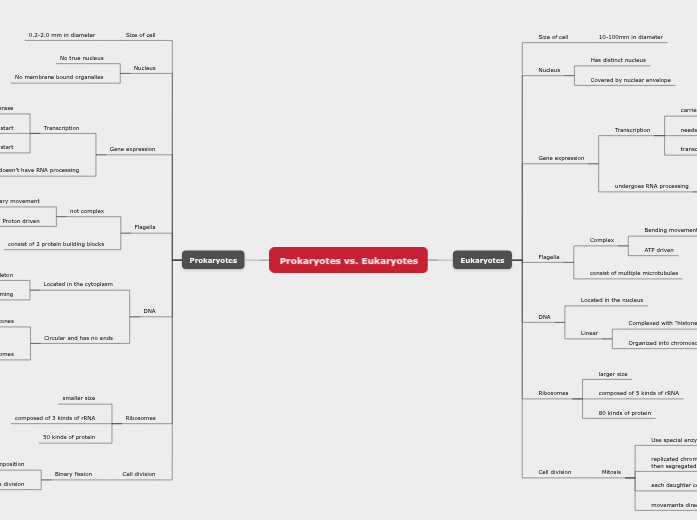 Prokaryotes vs. Eukaryotes - Mind Map