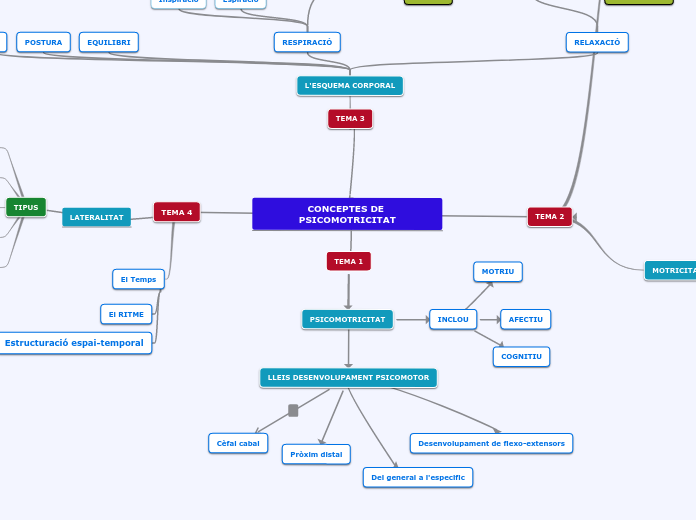 TEMA 1 - Mind Map