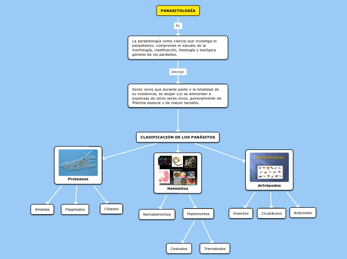 PARASITOLOGÍA - Mind Map