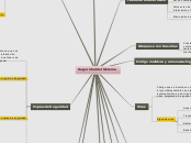 Seguridad del Sistema - Mind Map