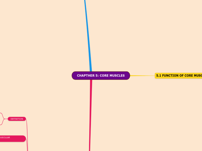 CHAPTHER 5: CORE MUSCLES - Mind Map