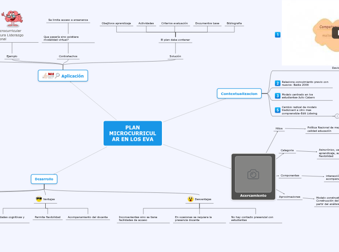 PLAN MICROCURRICULAR VIRTUAL - Mind Map