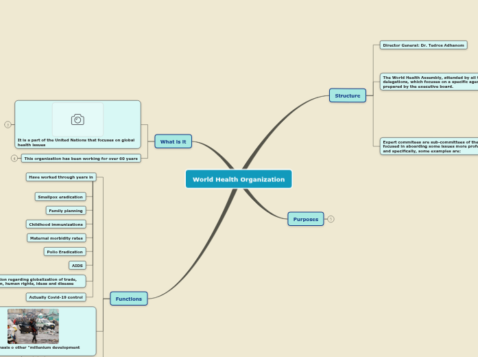 World Health Organization - Mind Map