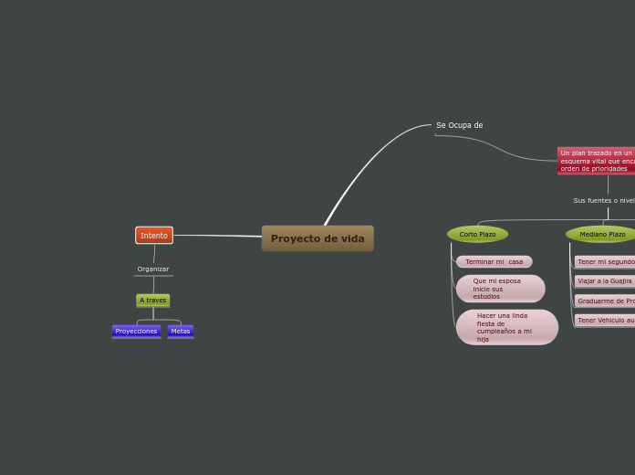 Proyecto de vida - Mind Map
