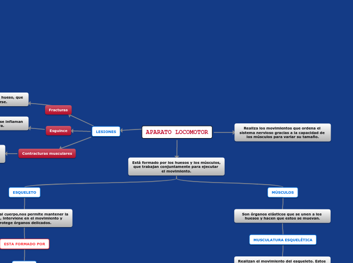 APARATO LOCOMOTOR - Mind Map