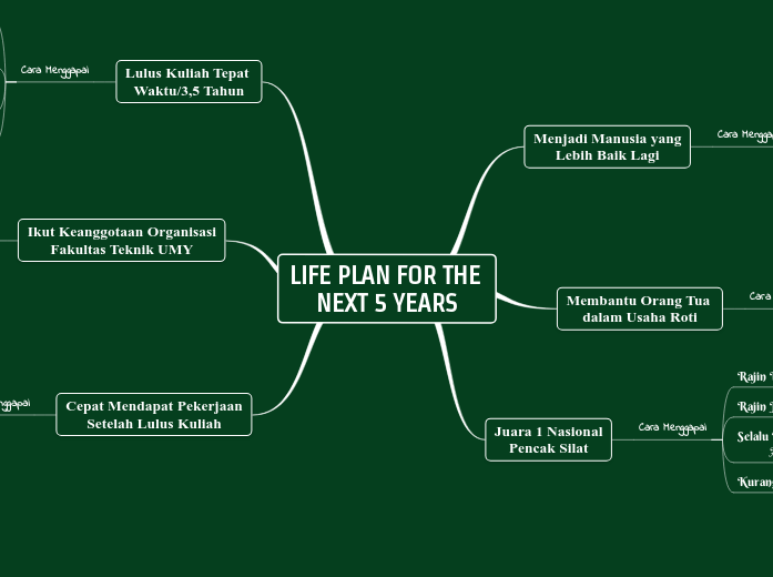 LIFE PLAN FOR THE NEXT 5 YEARS - Mind Map
