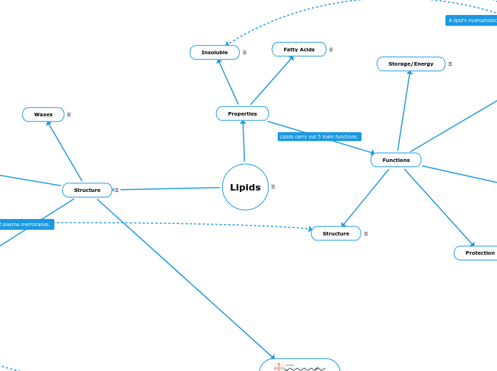Protein Structure And Function Concept Map