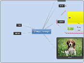 Moja prva mapa - Mind Map