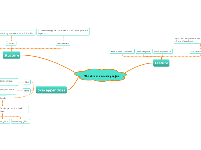 The skin as a sensory organ - Mind Map