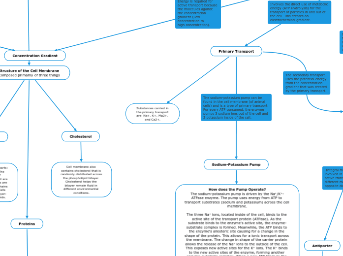 CELL MEMBRANE TRANSPORT - Mind Map