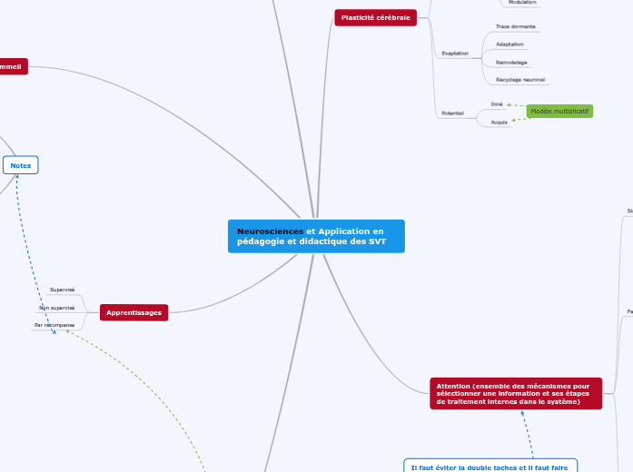 Neuro carte mentale BERRIE LISSAYOU - Mind Map