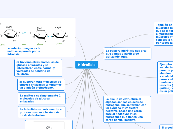 Hidrólisis - Mind Map