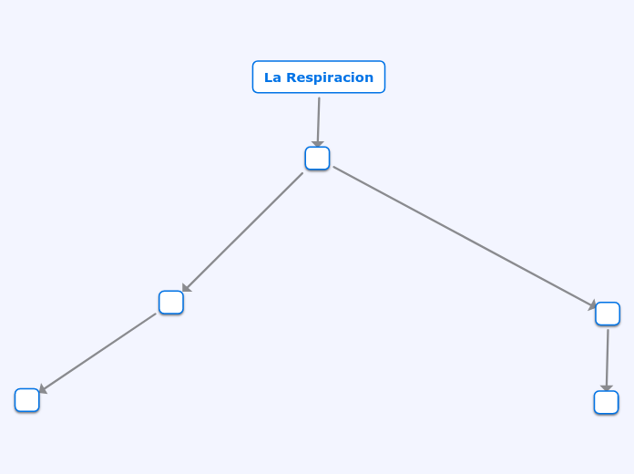 La Respiracion - Mind Map