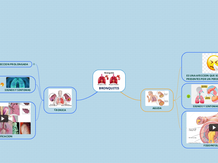 BRONQUITIS - Mind Map