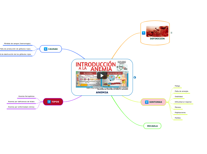 ANEMIA - Mind Map
