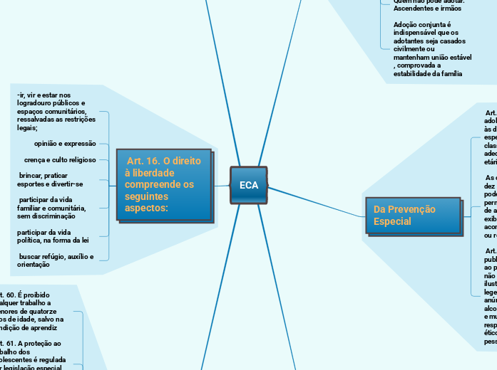 ECA - Mind Map