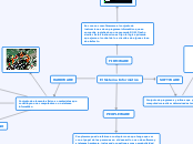 El Sistema Informático - Concept Map