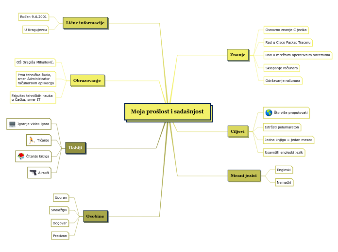 Moja prošlost i sadašnjost - Mind Map