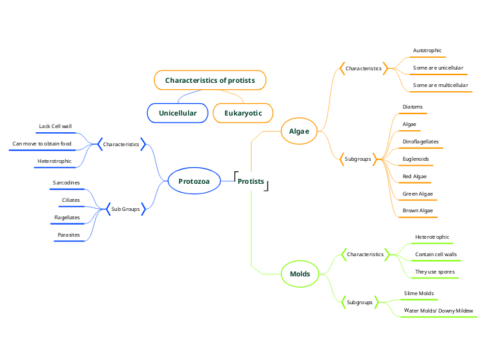 Protists - Mind Map