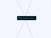 Macromolecules - Mind Map