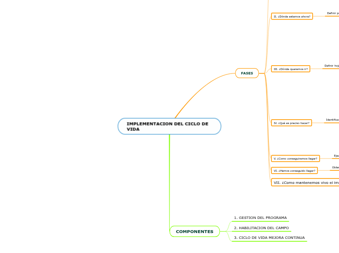 IMPLEMENTACION DEL CICLO DE VIDA | Mapa mental Mindomo