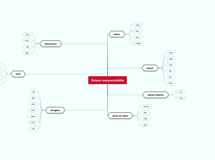 Fisiere neexecutabile - Mind Map