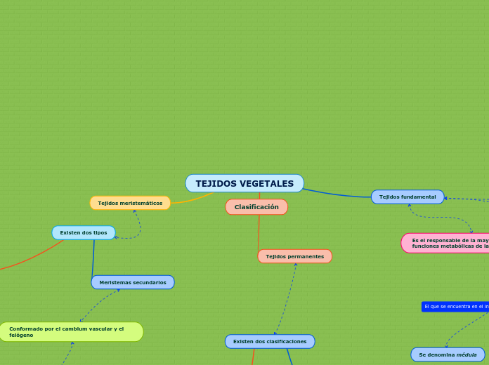 TEJIDOS VEGETALES - Mind Map