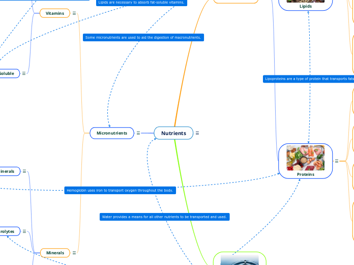 Nutrients - Mind Map