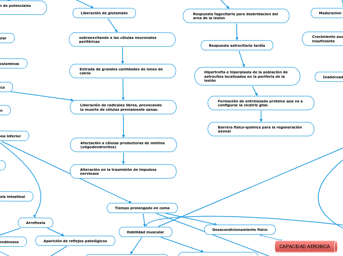 LESIO MEDULAR COMPLETA - Mind Map