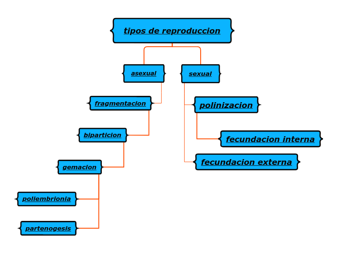 Tipos De Reproduccion Mind Map