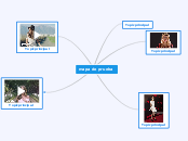 mapa de prueba - Mind Map
