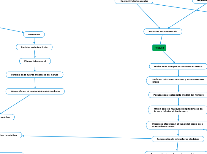 Síndrome del Tunel del carpo - Mind Map