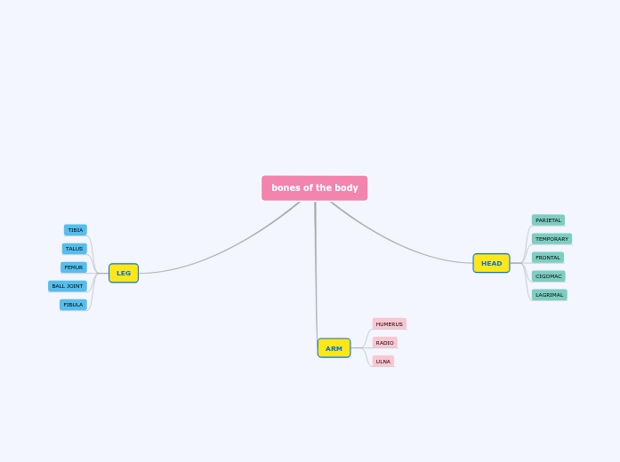 bones of the body - Mind Map