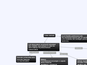 Tuberculosis - Concept Map