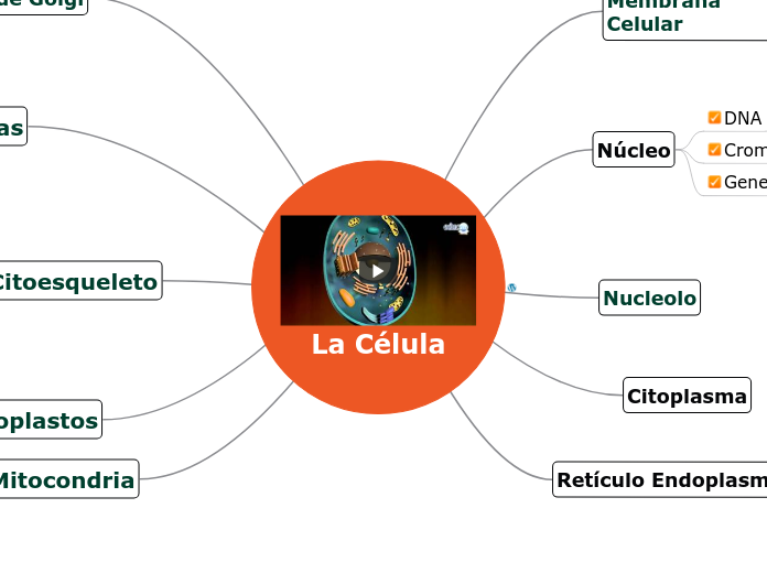 La Célula - Mind Map