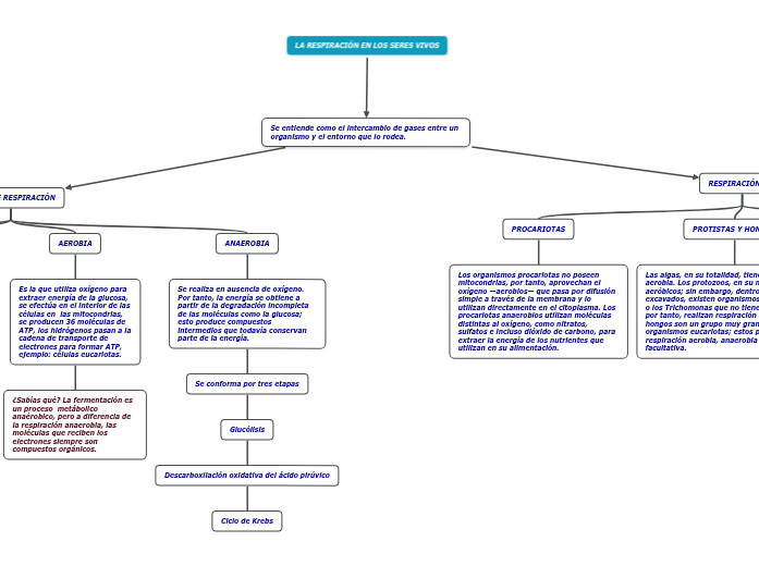 LA RESPIRACIÓN EN LOS SERES VIVOS - Mind Map