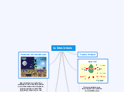 la fotosintesis - Mind Map