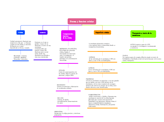 Forma y funcion celular - Mind Map