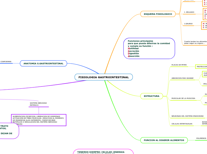 FISIOLOGIA GASTROINTESTINAL - Mind Map