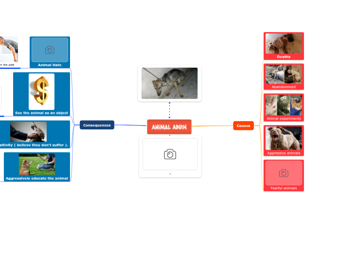 Animal Abuse - Mind Map