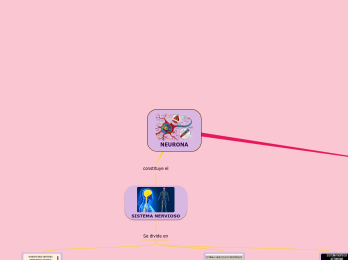 NEURONA - Mind Map