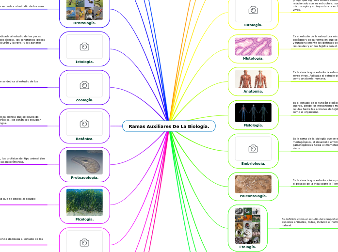 Ramas Auxiliares De La Biología. - Mind Map