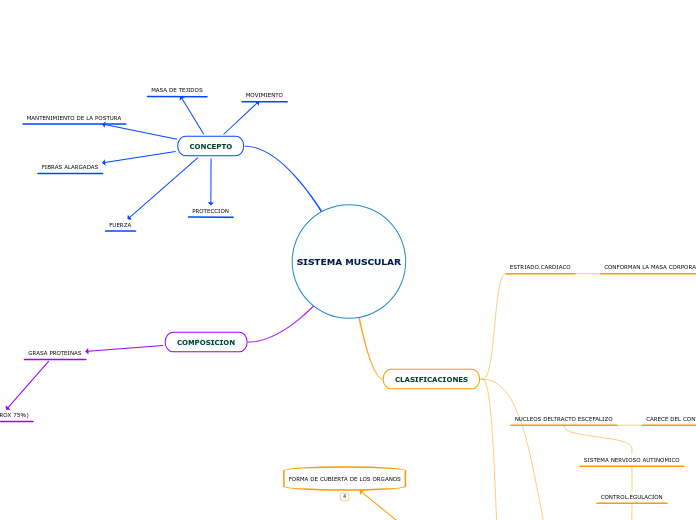 SISTEMA MUSCULAR - Mind Map
