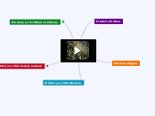 El Arbol - Mind Map