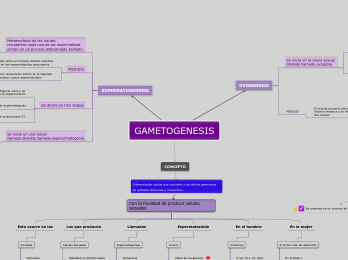 GAMETOGENESIS - Mind Map