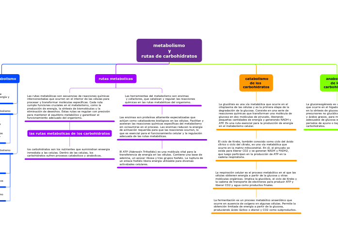 metabolismo y rutas de c...- Mind Map