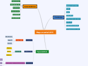 Mapa mental LMS - Mind Map