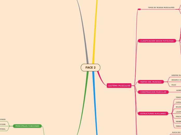 FACE 2 - Mind Map
